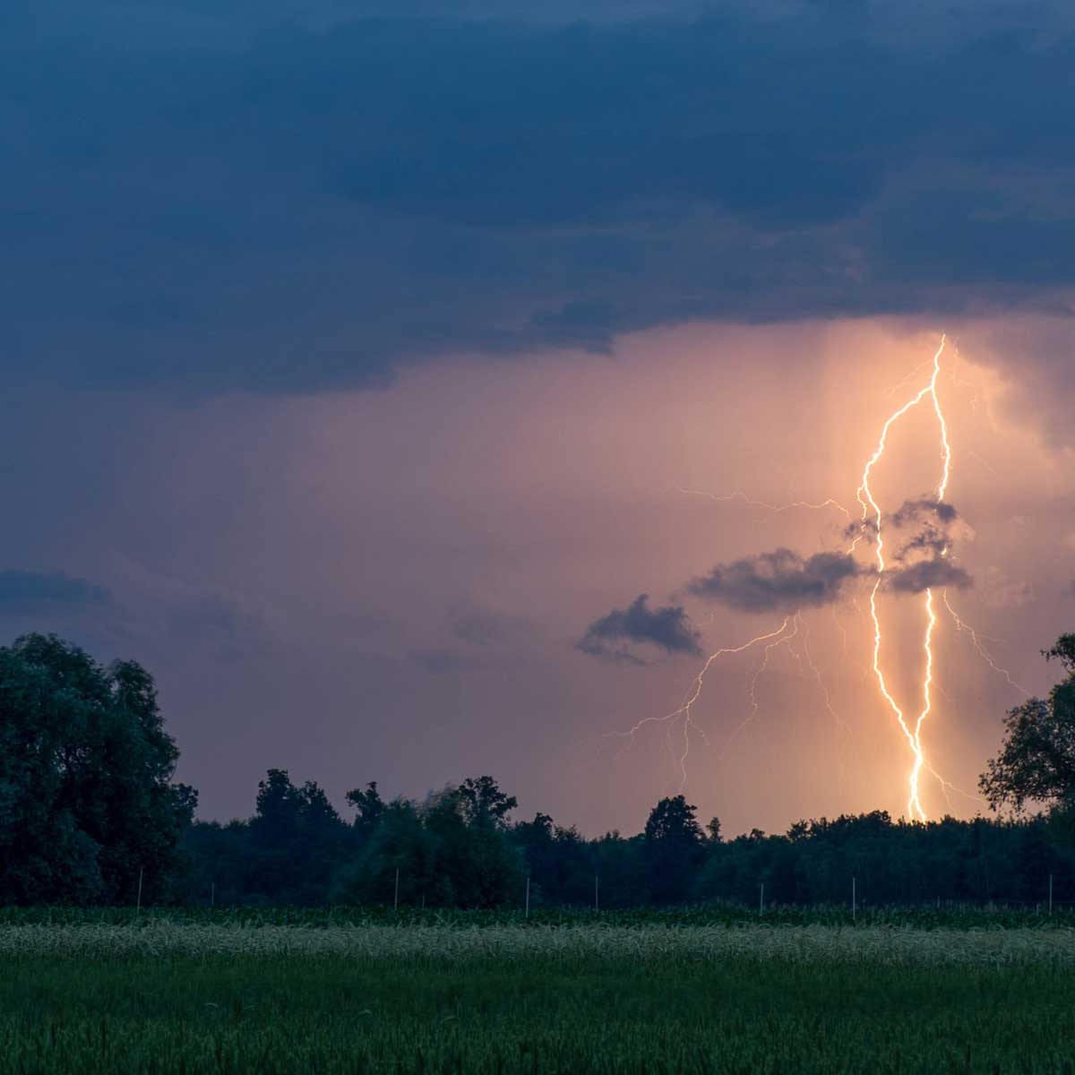 IAG Wild Weather Tracker, Nov 2023